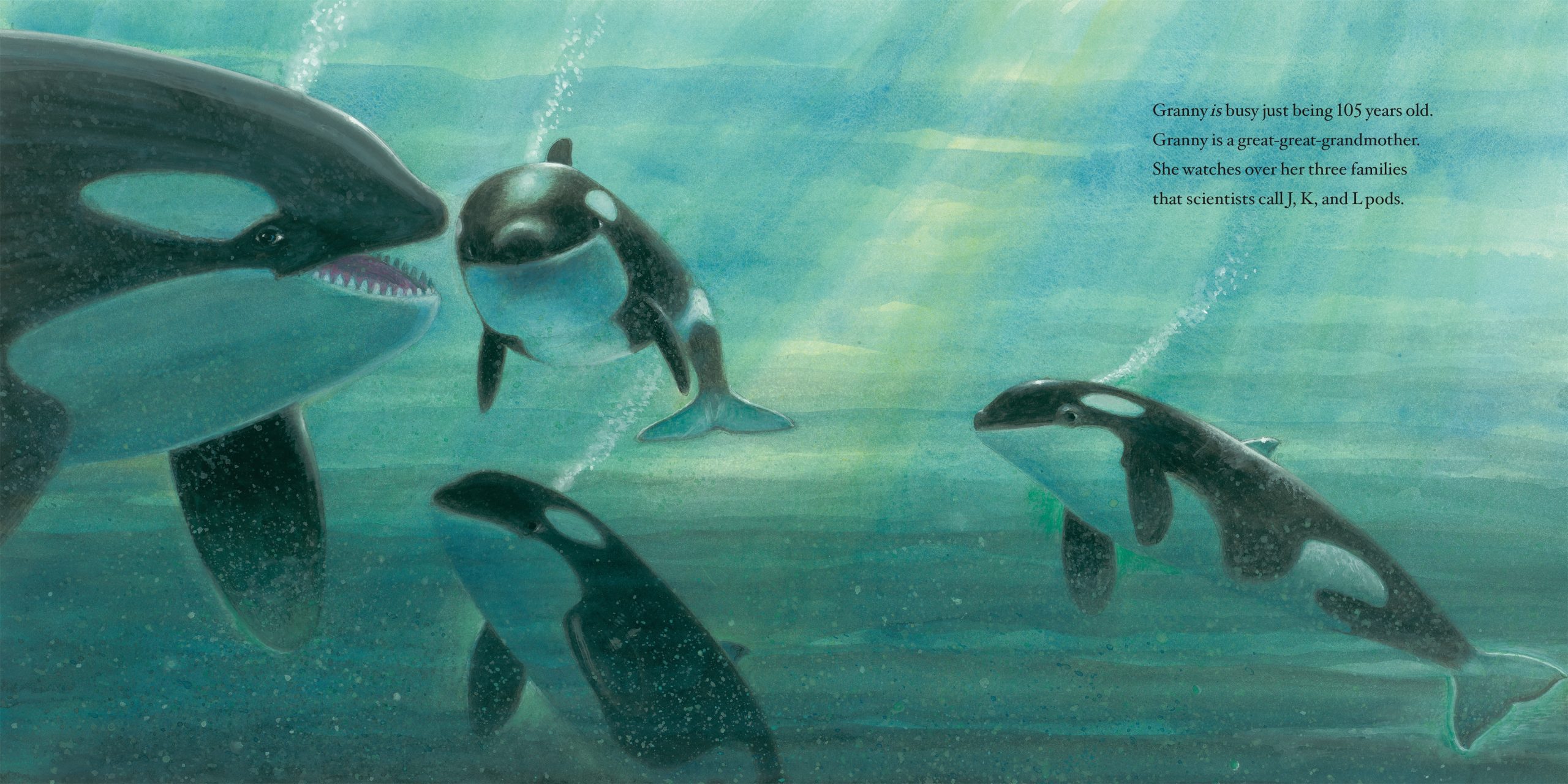 Brenda Peterson’s New Book: Wild Orca, Wisest Whale in the World ...