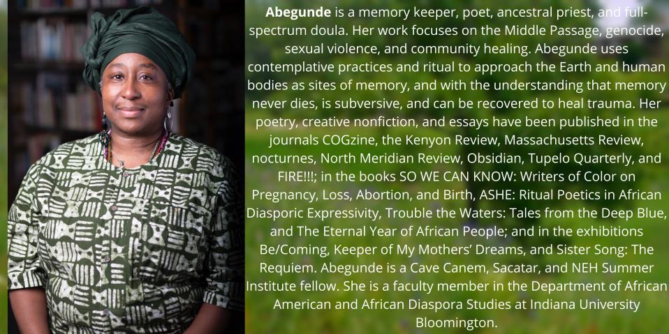 Abegunde Bio – Black Earth Institute